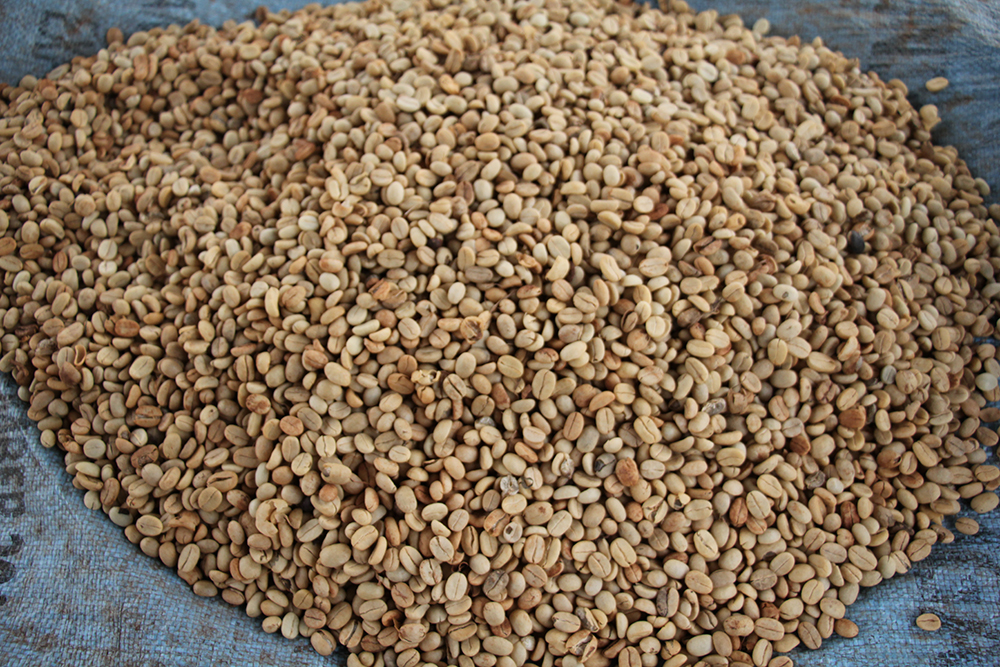Rwanda, Huye District - Seven Districts Coffee